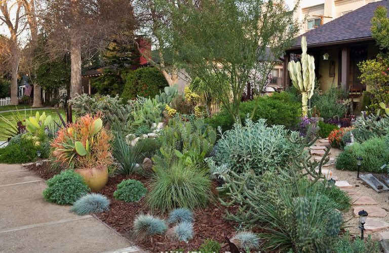 What are Water-Wise Gardens? How to Make Drought Tolerant Gardens ...