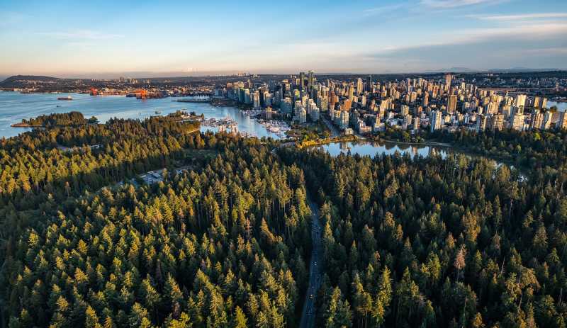 Urban Forests | What Are They and How do They Benefit Us? | Para Space ...