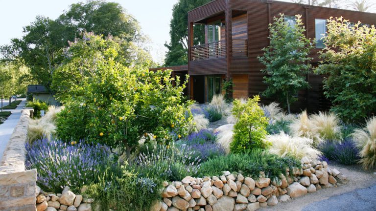 What are Water-Wise Gardens? How to Make Drought Tolerant Gardens ...