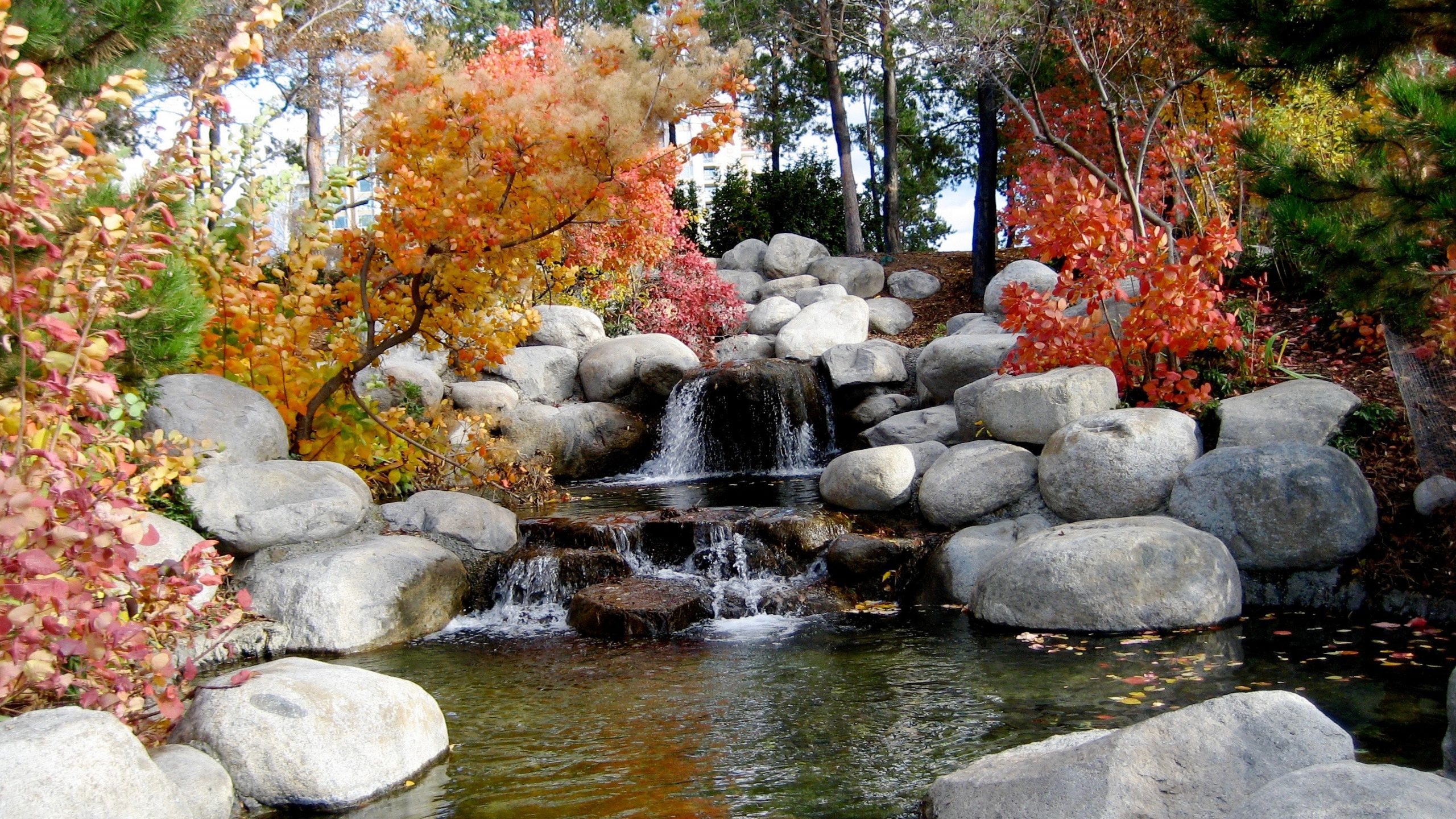 5 Tips on How to Add Boulders to Your Landscape : Para Space