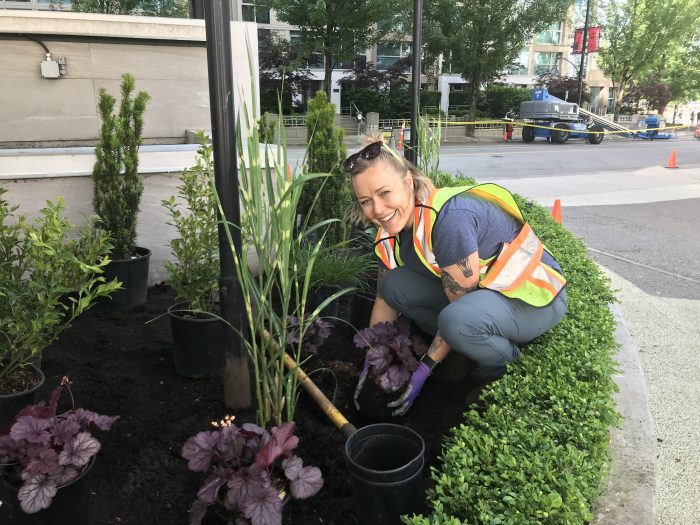 Container Planting Basics | Accents in Your Landscape : Para Space
