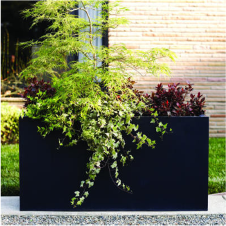 Container Planting Basics | Accents in Your Landscape : Para Space