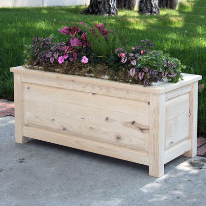 Container Planting Basics | Accents in Your Landscape : Para Space
