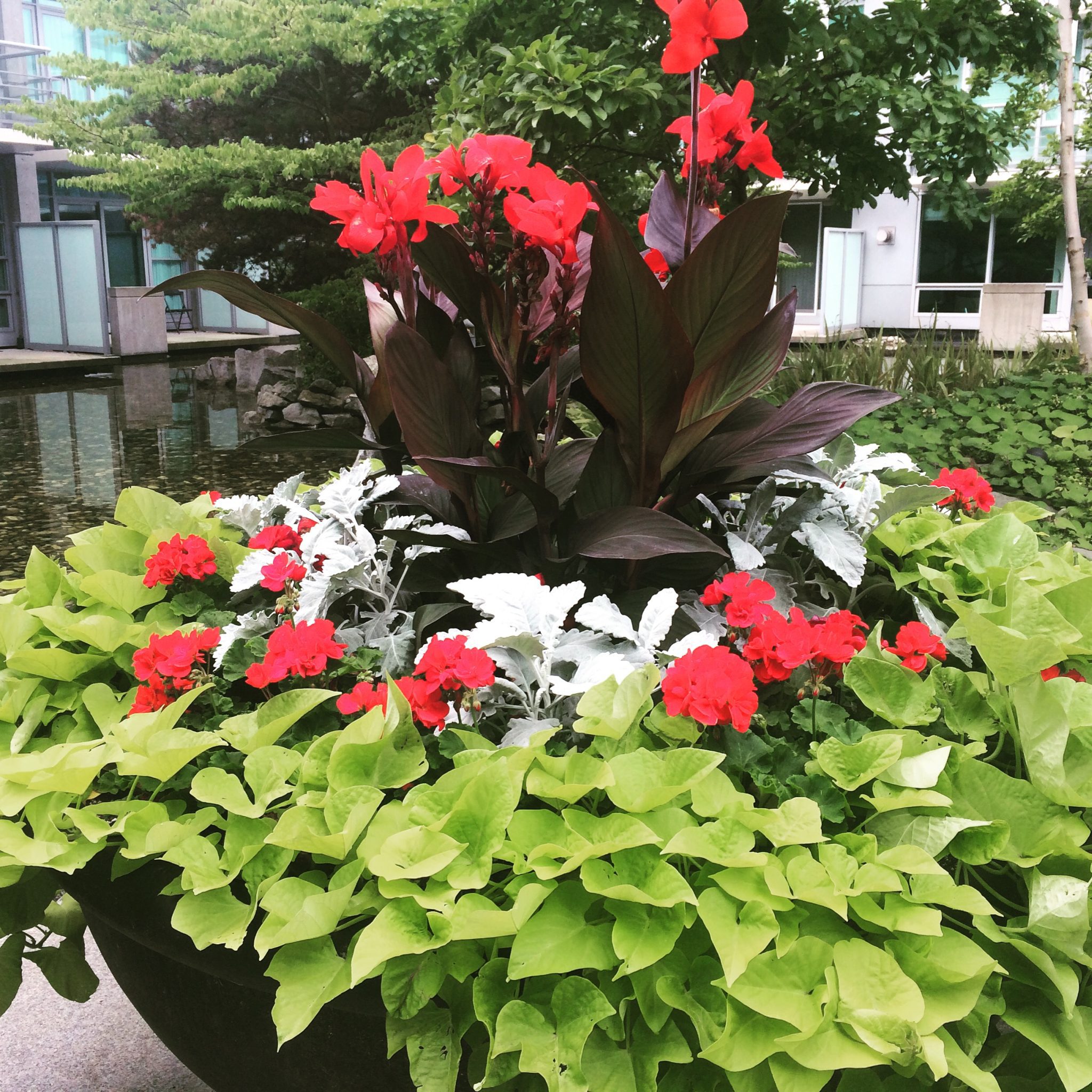 Guide to Planting Summer Flower Displays in BC | Para Space : Para Space