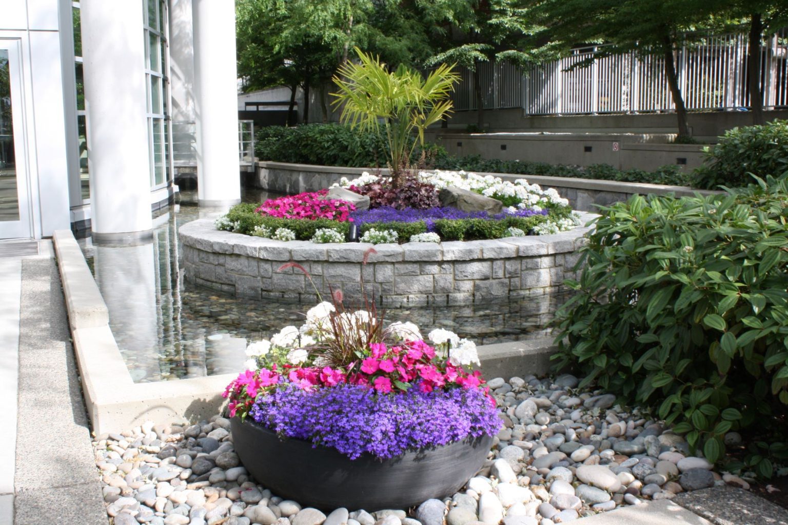 Guide to Planting Summer Flower Displays in BC | Para Space : Para Space