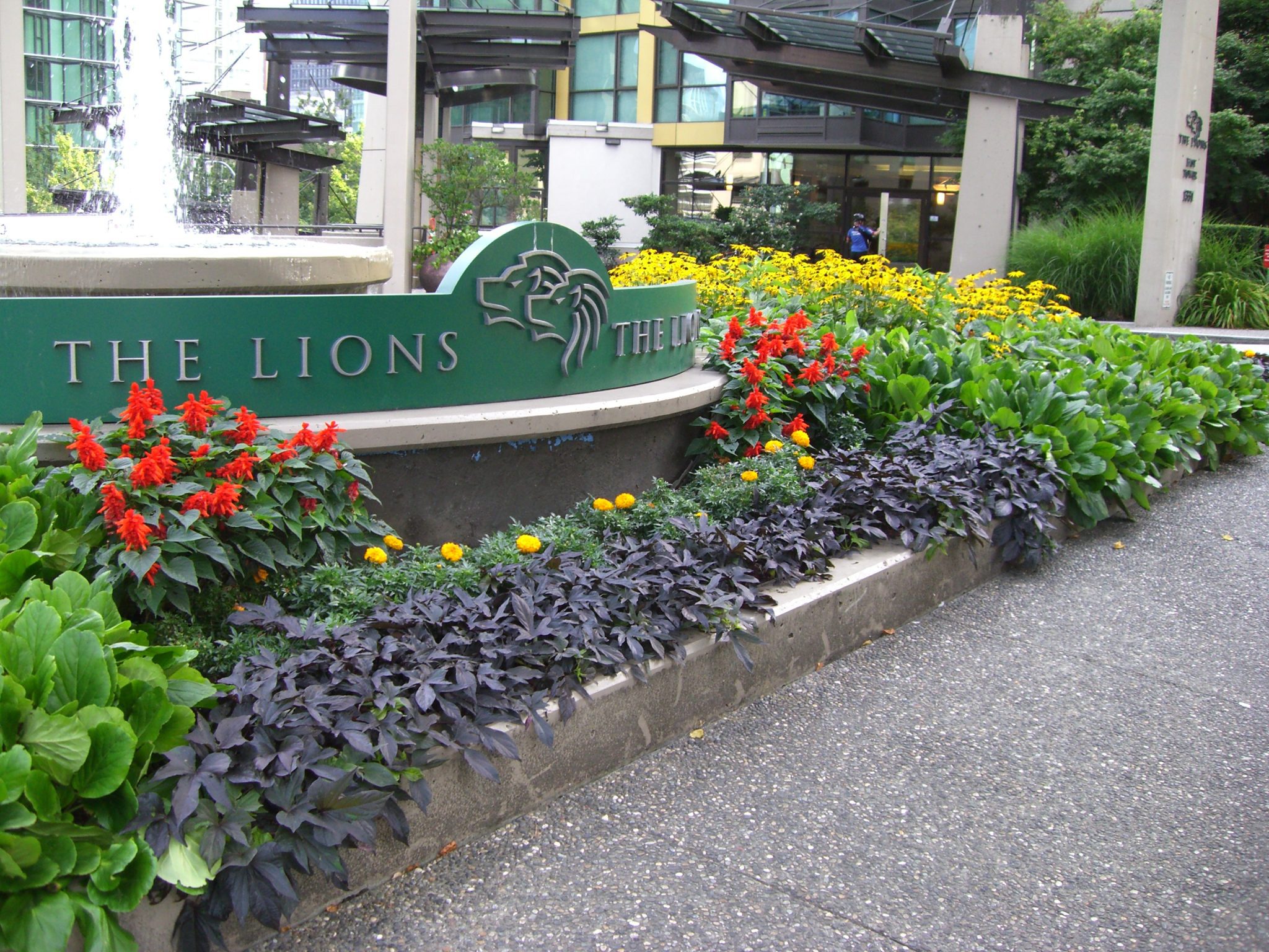 Guide to Planting Summer Flower Displays in BC | Para Space : Para Space