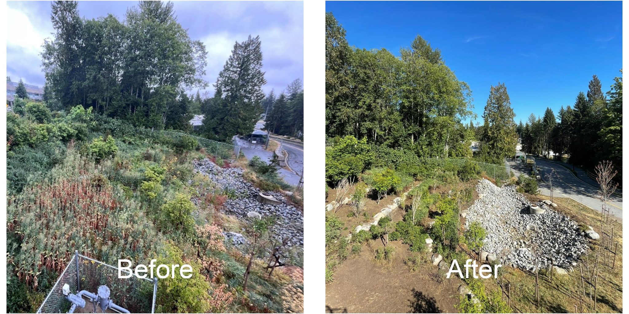 Maintenance Upgrades | Before and After : Para Space